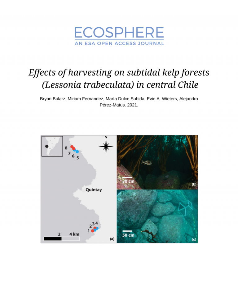 Effects of harvesting on subtidal kelp forests (Lessonia trabeculata ...